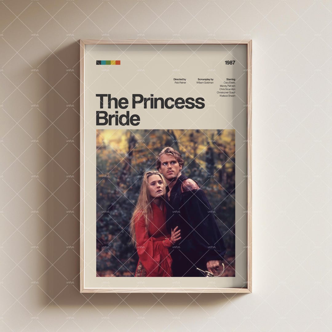 The Princess Bride Vintage Retro Poster, the Princess Bride Movie Print ...