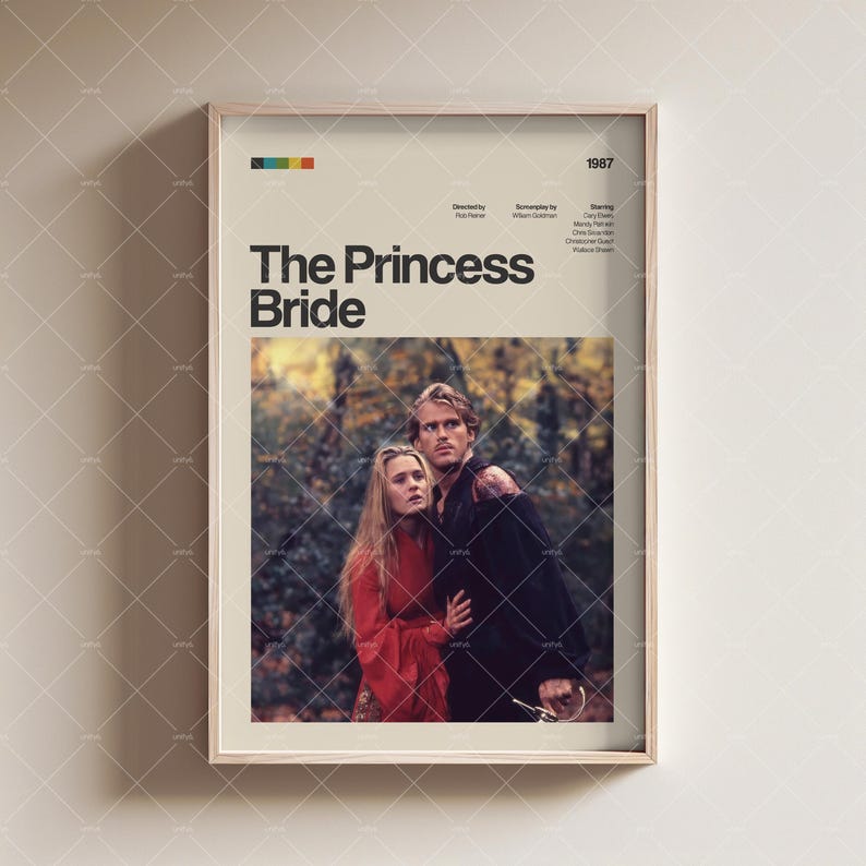 The Princess Bride Vintage Retro Poster, the Princess Bride Movie Print ...