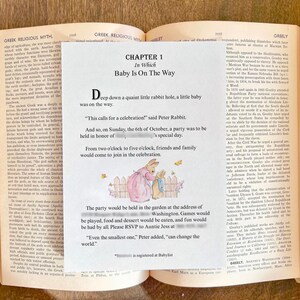 Peter Rabbit Baby Shower Storybook Invitation DIGITAL DOWNLOAD ...