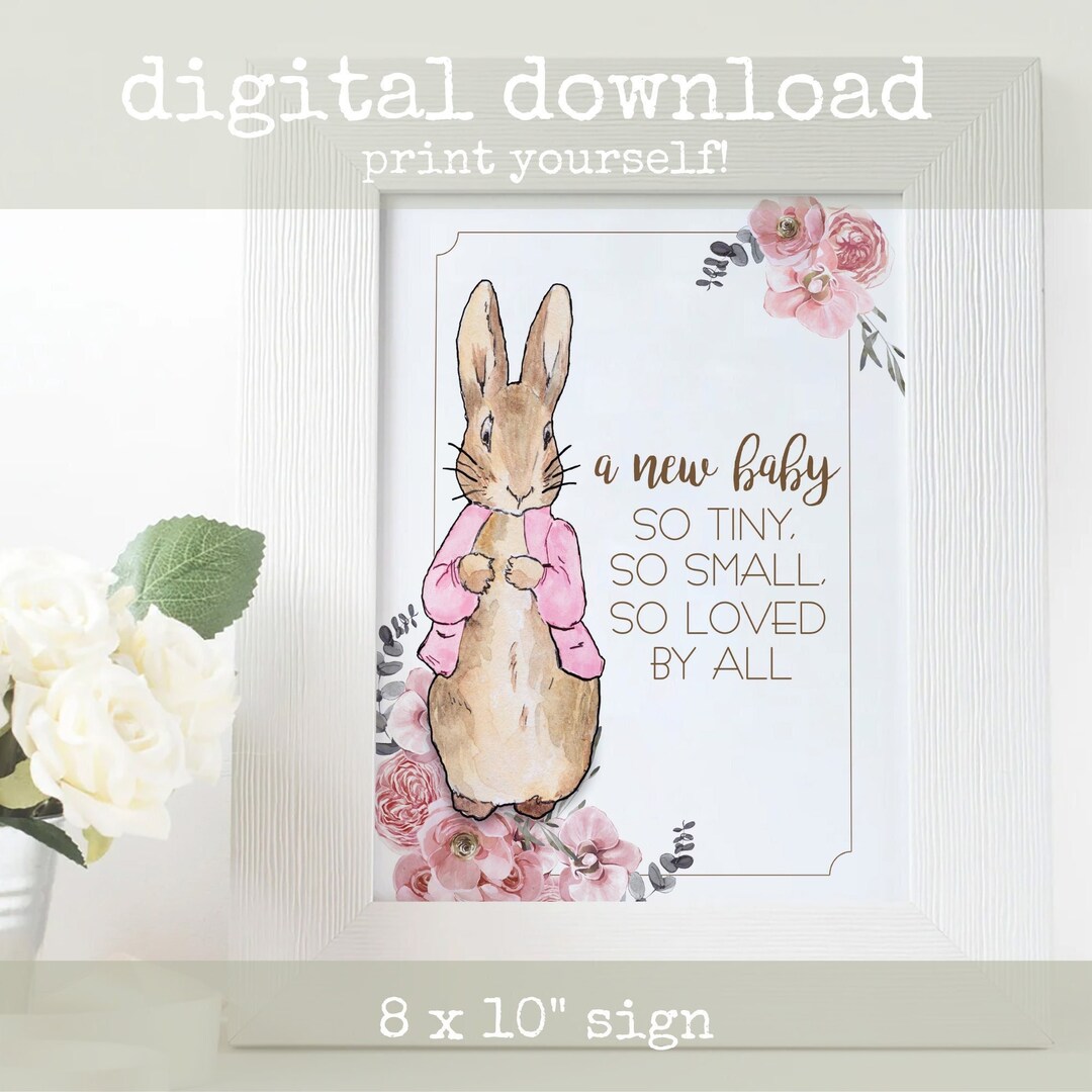 A New Baby Pink Peter Rabbit Baby Shower Sign | INSTANT DIGITAL ...