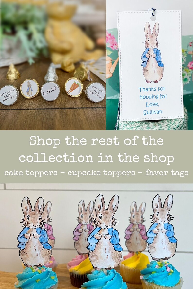 Peter Rabbit Cake Topper/peter Rabbit Topper/cake - Etsy