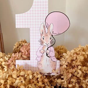 Peter Rabbit Pink Gingham Cake Topper | First Birthday Beatrix Potter ...