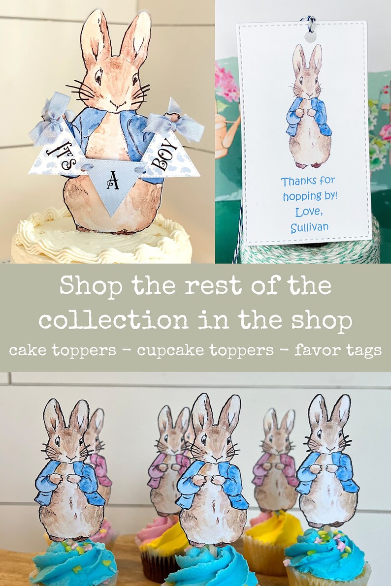 Blue Peter Rabbit Garland Baby Shower Decor First Birthday - Etsy