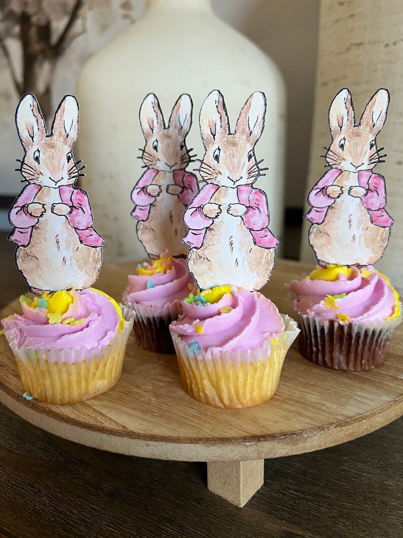 Pink Peter Rabbit Cupcake Toppers Set of 12 Beatrix Potter - Etsy