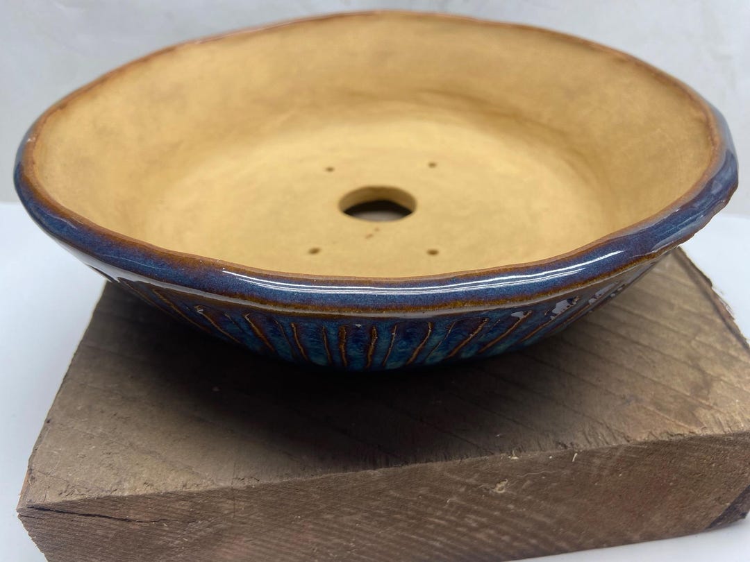 BP36 - Round Medium Tidal Pool Carved Bonsai Pot - Etsy