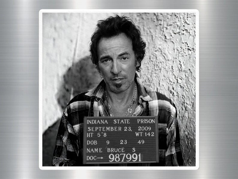 Bruce Springsteen, Mugshot, Magnet, 2009, the Boss, Rock and Roll ...