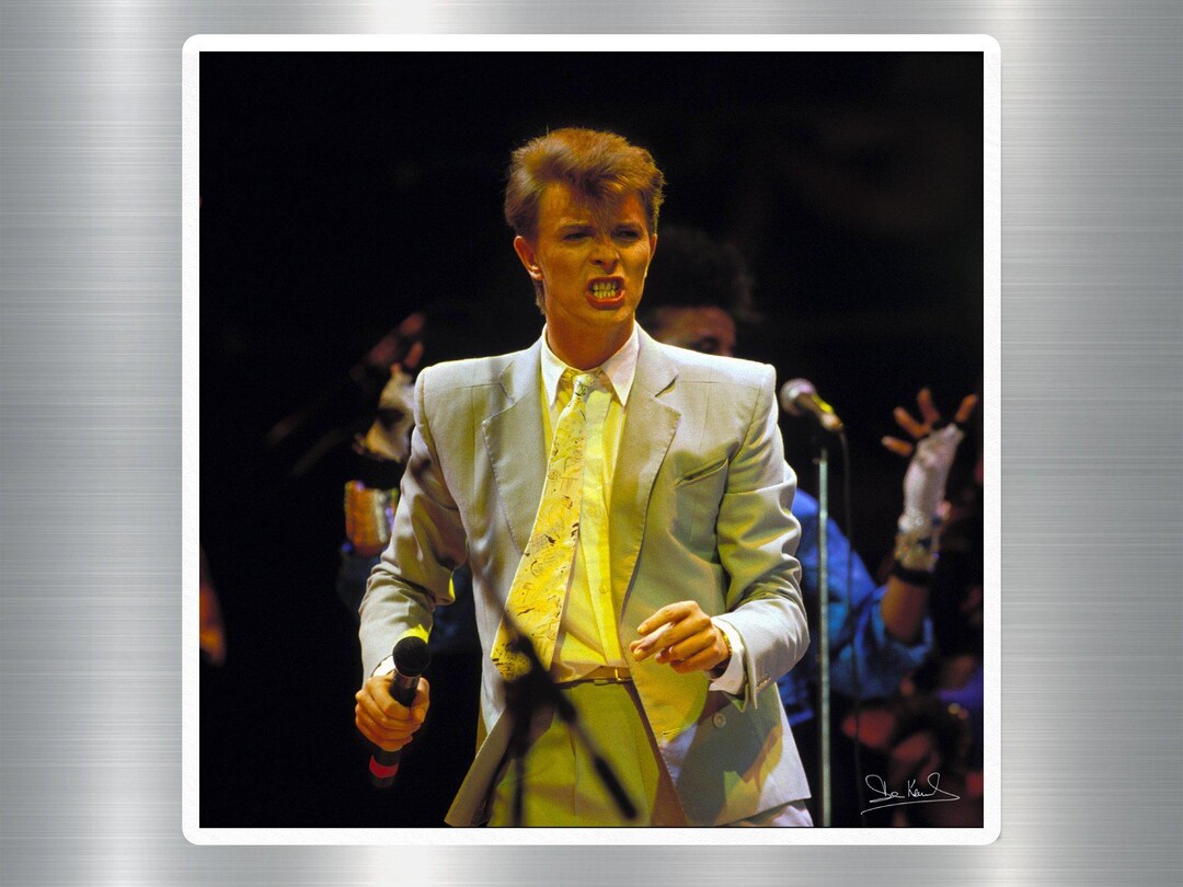 David Bowie Retro Music Icon Magnet, 80s Rock Star Magnet, Music ...