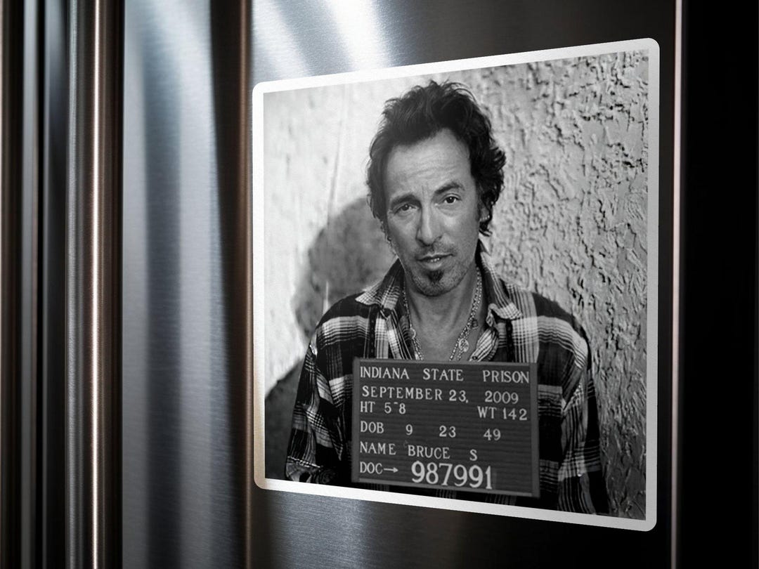 Bruce Springsteen, Mugshot, Magnet, 2009, the Boss, Rock and Roll ...