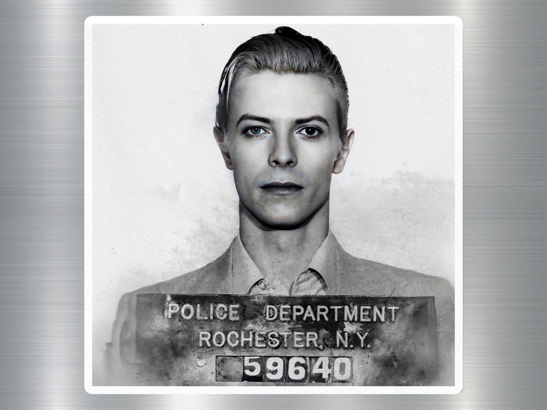 David Bowie, Mugshot, Magnet, 1976, NY Arrest, Rock Icon, Vintage ...