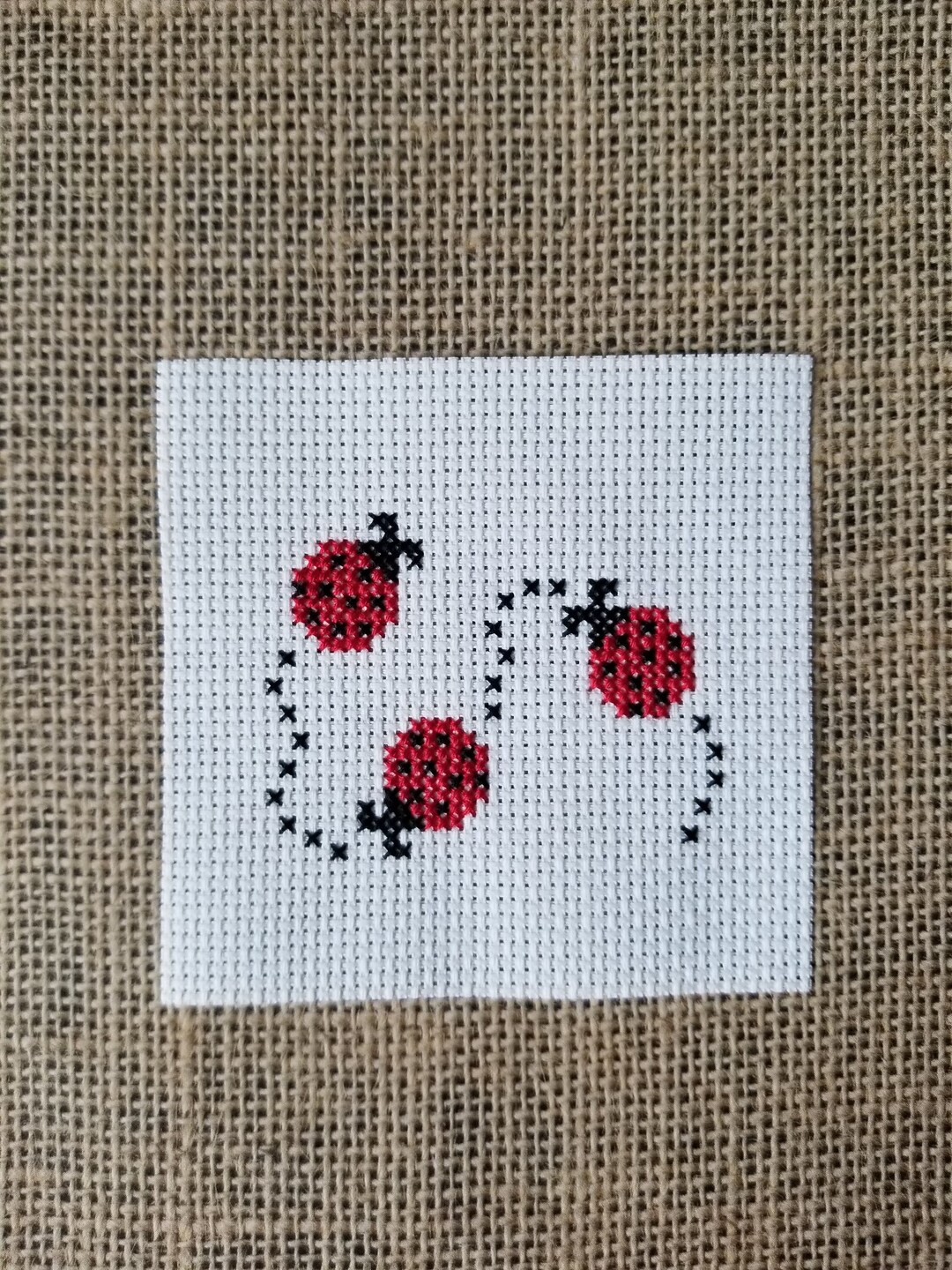 Completed Cross Stitch Ladybug Trail Piece for DIY Crafts - Etsy