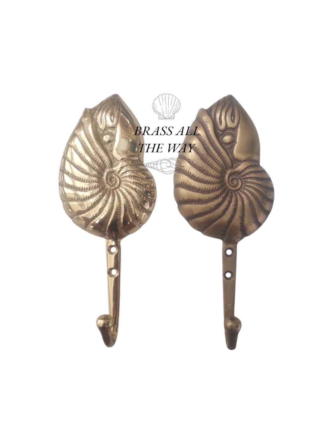 16 Cm Nautilus Shell Brass Hook Fixture - Super Nautilus Brass Hook ...