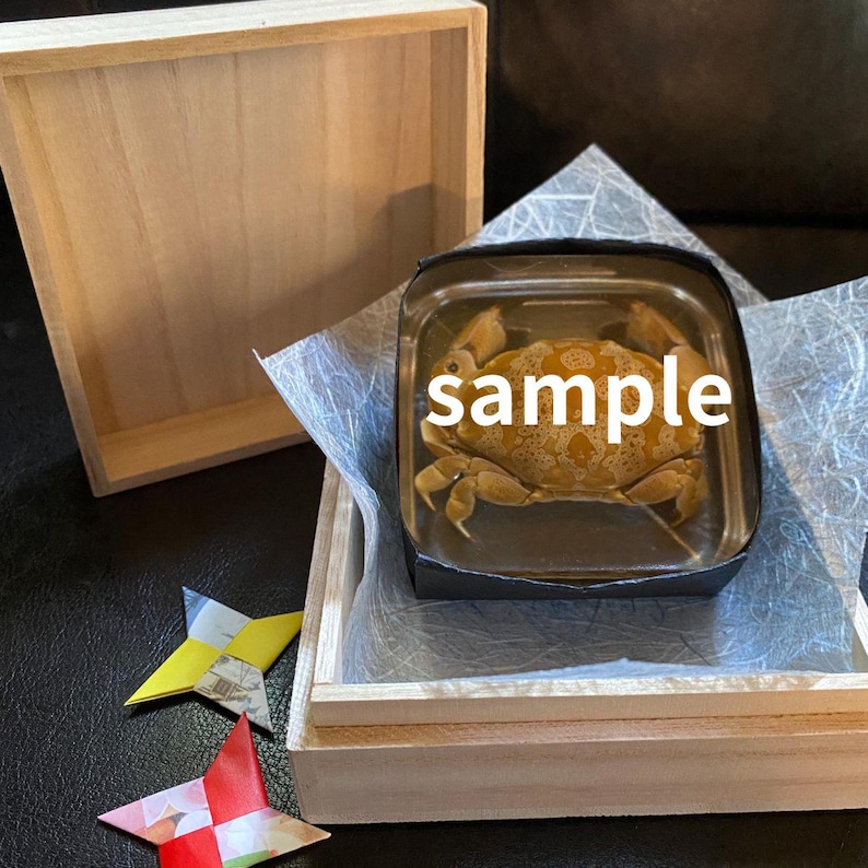 Okinawan Resin Specimen– Swimming Crabs - Etsy