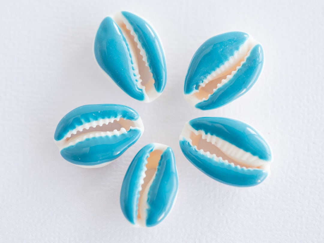Blue Cowrie Shell Beads Natural Enamel Coated Shell 5 Pieces - Etsy