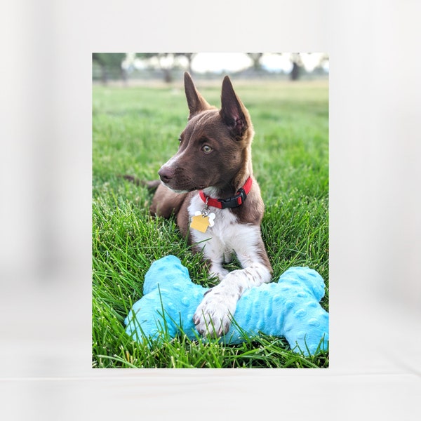 In the Hoop Toys - Etsy