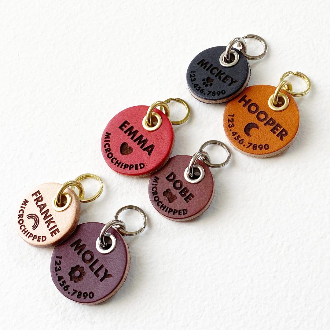 Custom Engraved Dog or Cat ID Tag for Collar, Medium or Large ...