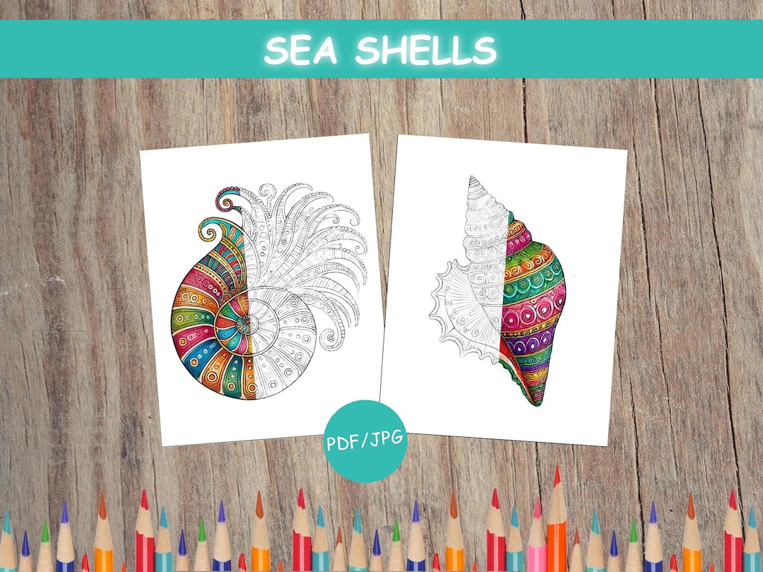 Coloring Sheets for Kids SEA SHELLS Coloring Book Seashell Coloring ...