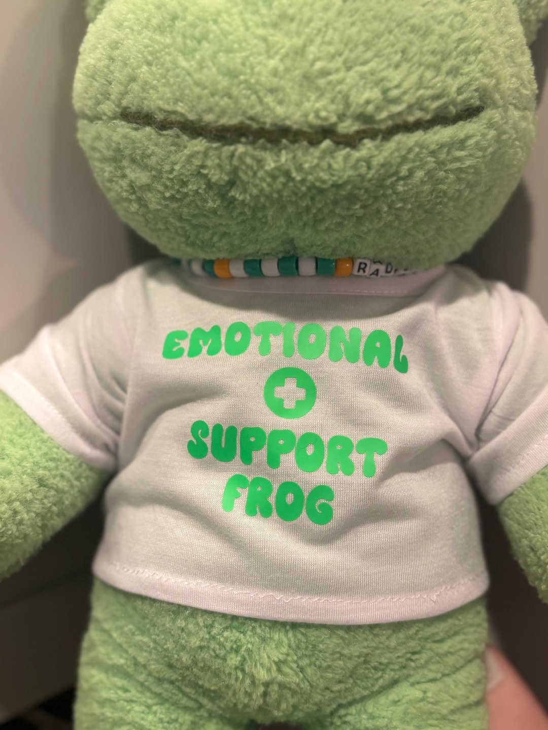 Custom Emotional Support Frog or Other BAB Bear Shirt - Etsy