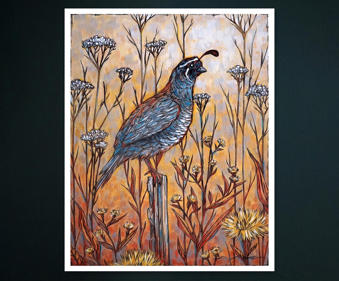 Quail - Print 8"x10" - Etsy