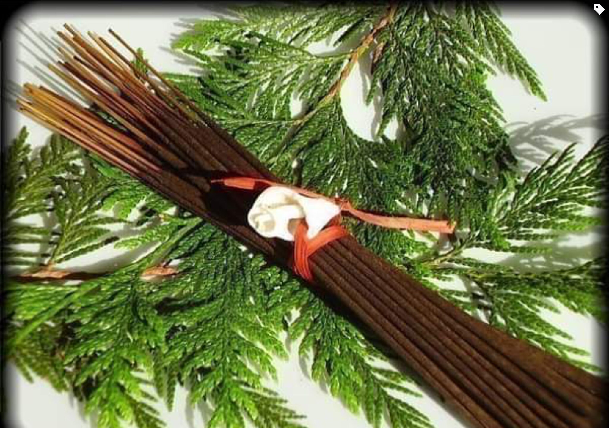 Christmas Tree Incense 20 Sticks the Traditional Welcoming Scent of the ...