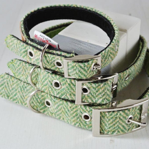Green Dog Collar - Etsy
