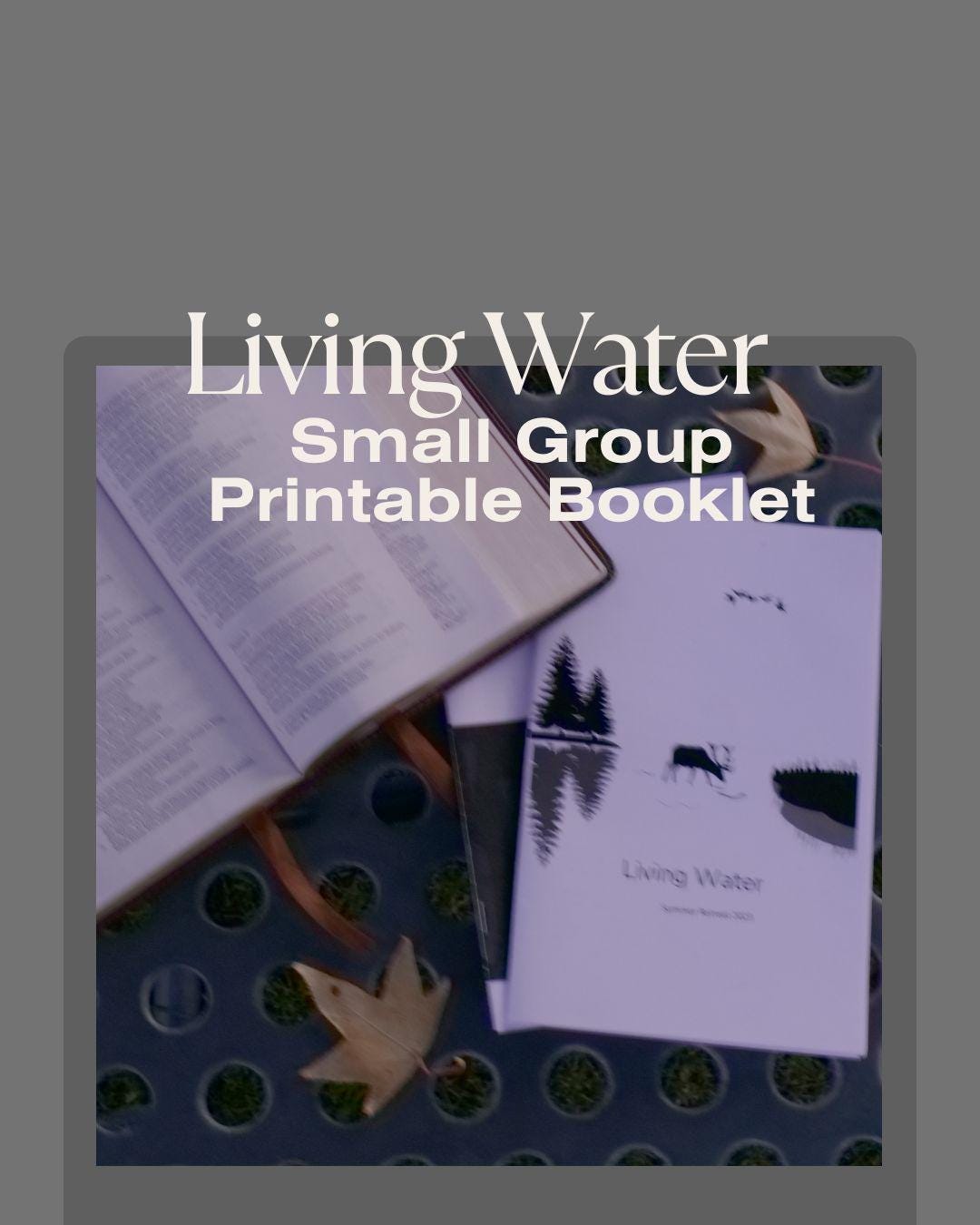 Living Water 3-day Small Group Devotional Printable Booklet - Etsy