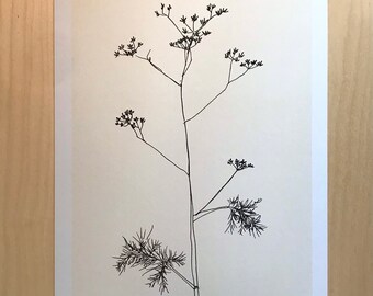 Seed Head Drawing | Etsy