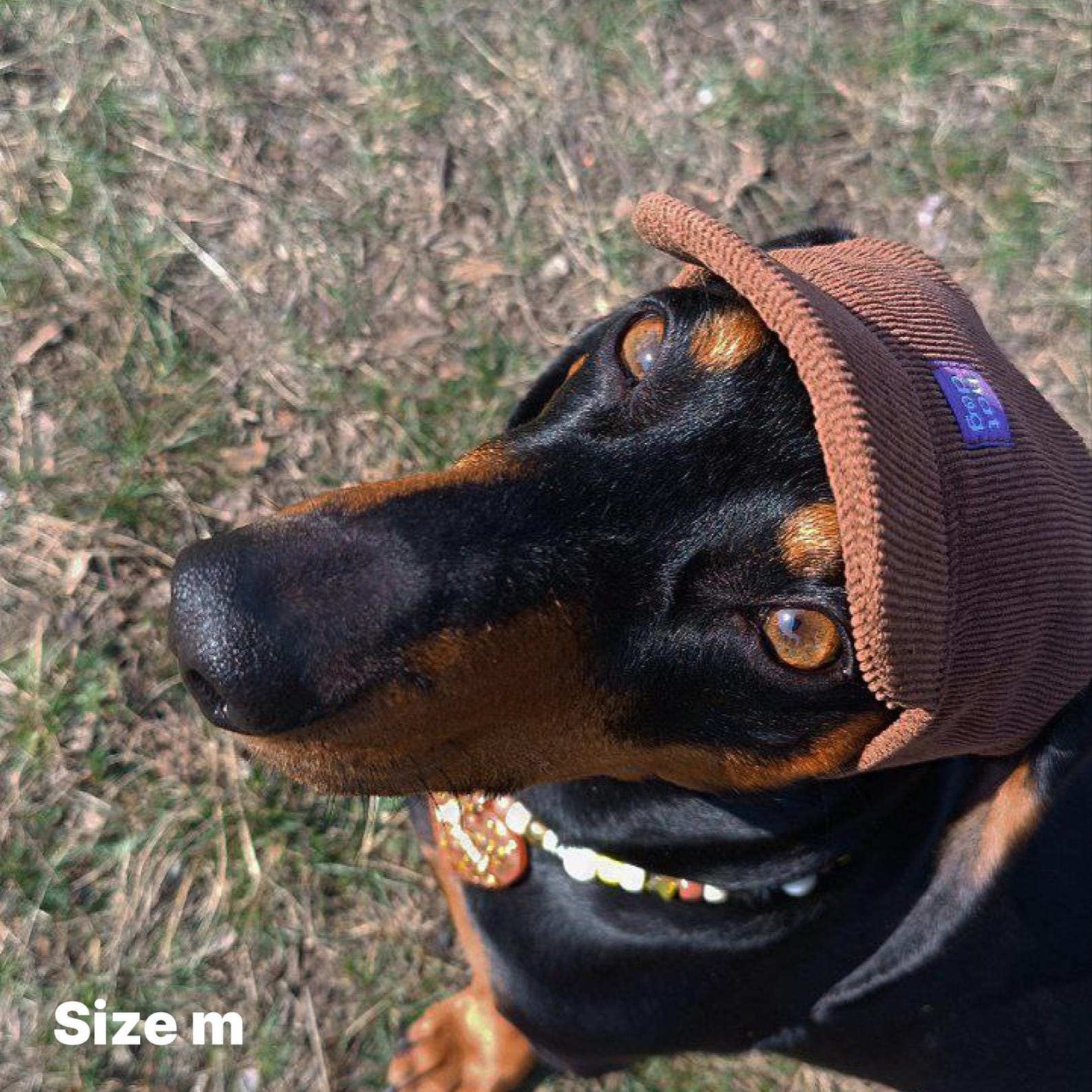 Corduroy Dog Baseball Hat: Adjustable Sun Cap With Ear Holes - Etsy