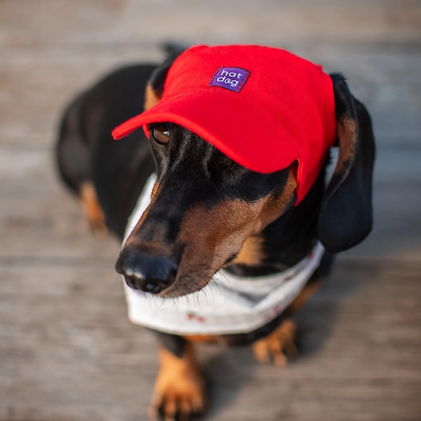 HatDogBrand - Etsy