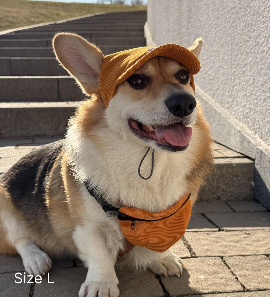 Dog Baseball Cap: Stylish Pet Hat for All Breeds, Ear Holes Summer ...