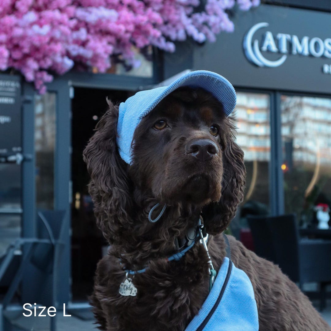 Blue Dog Hat – Stylish Dog Baseball Cap for Small & Large Dogs ...