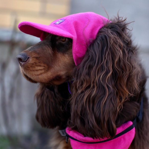 HatDogBrand - Etsy