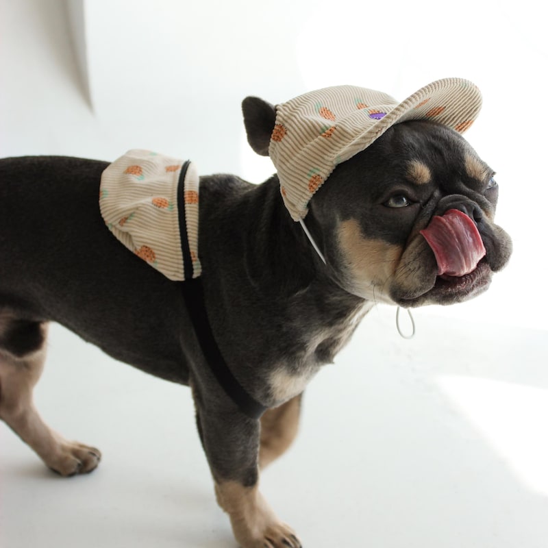 HatDogBrand - Etsy