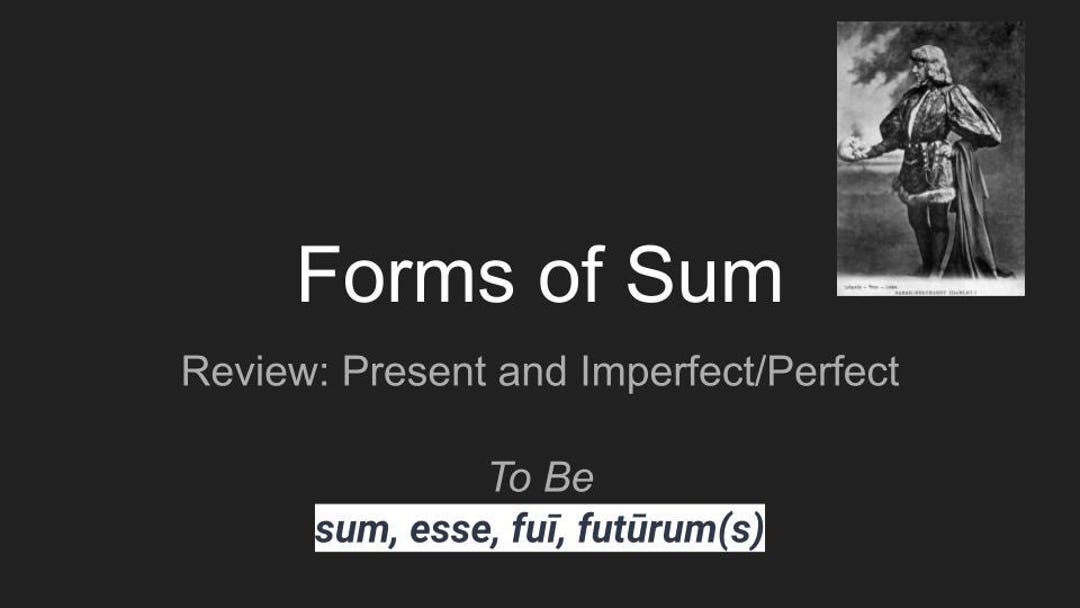Forms of Sum Latin Slideshow - Etsy