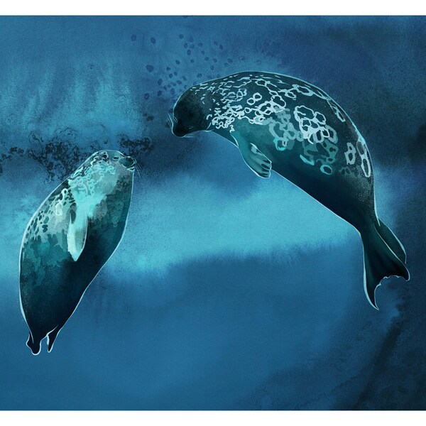Selkies Print - Etsy