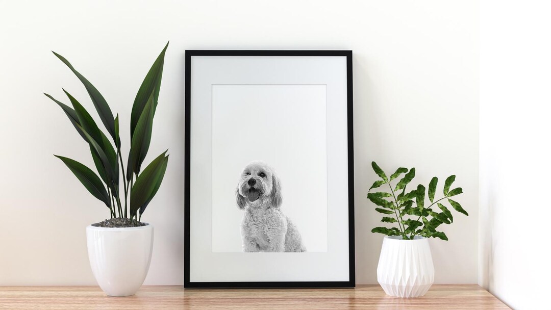 Cockapoo Black and White Print (instant Download) - Etsy