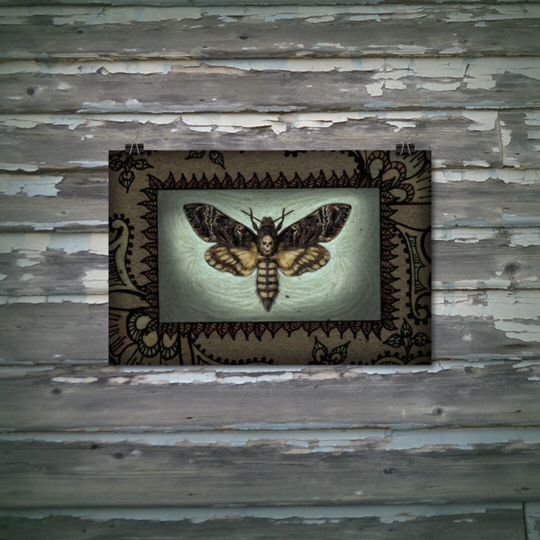 Death Head Moth Art Print / Skull Moth / Death's-head Hawkmoth ...