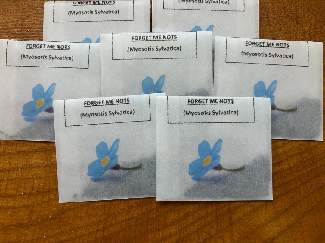 Forget Me Not Seed Packets - Etsy UK