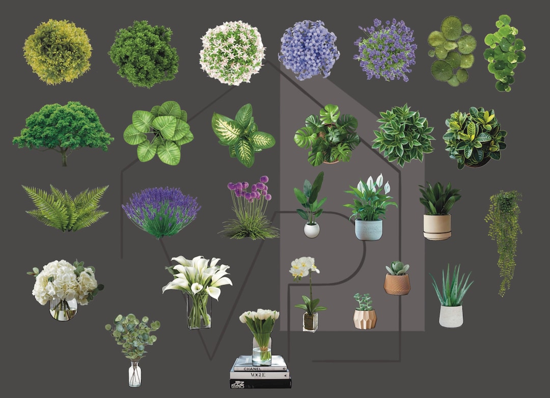 Plants and Flower Decoration Collection for Floor Plans and Interior ...