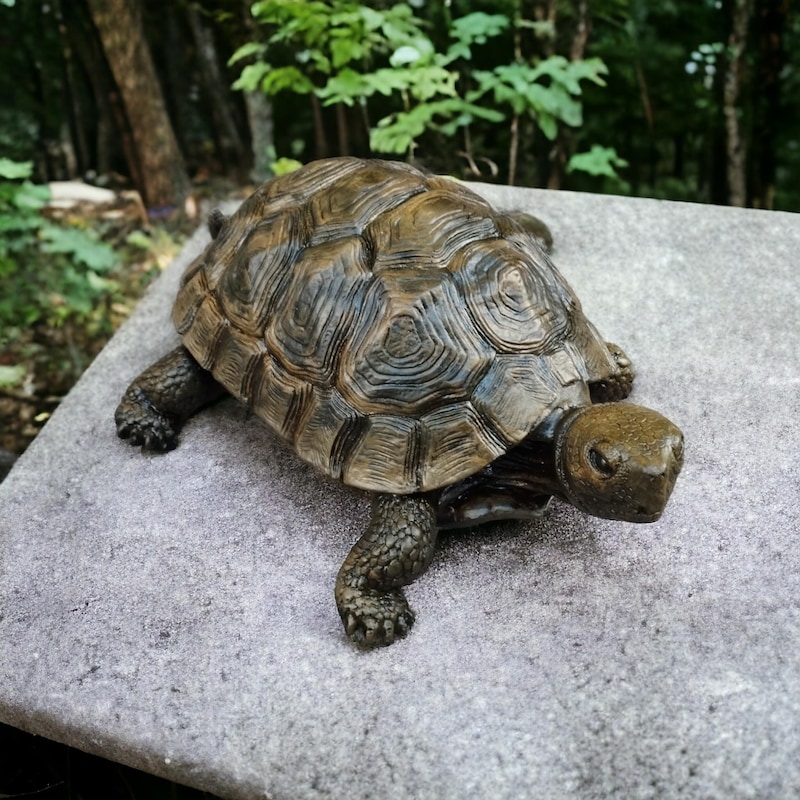 Large Garden Turtle Statue - Etsy