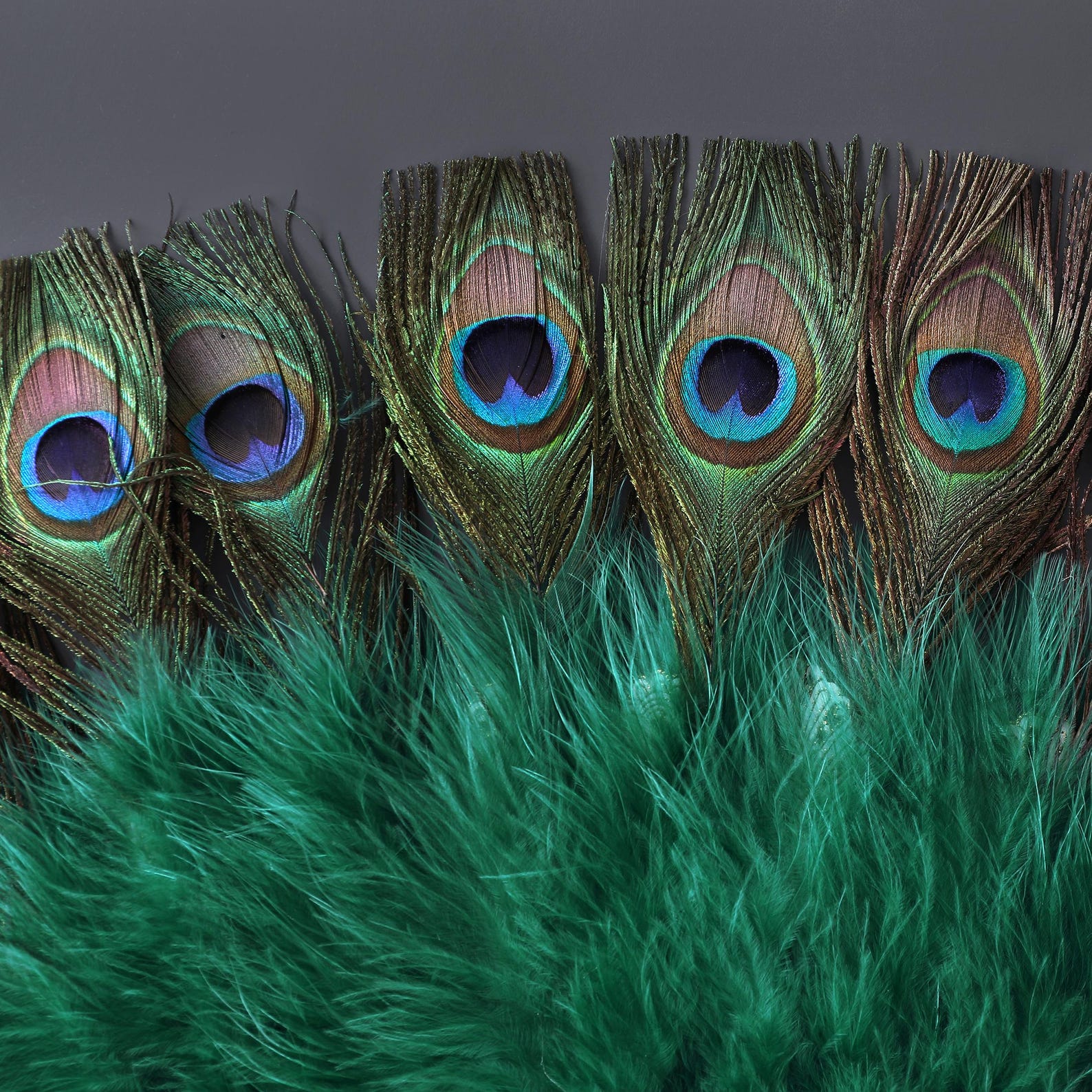Peacock Marabou Feather Fan – 1920s Vintage Flapper Accessory for ...