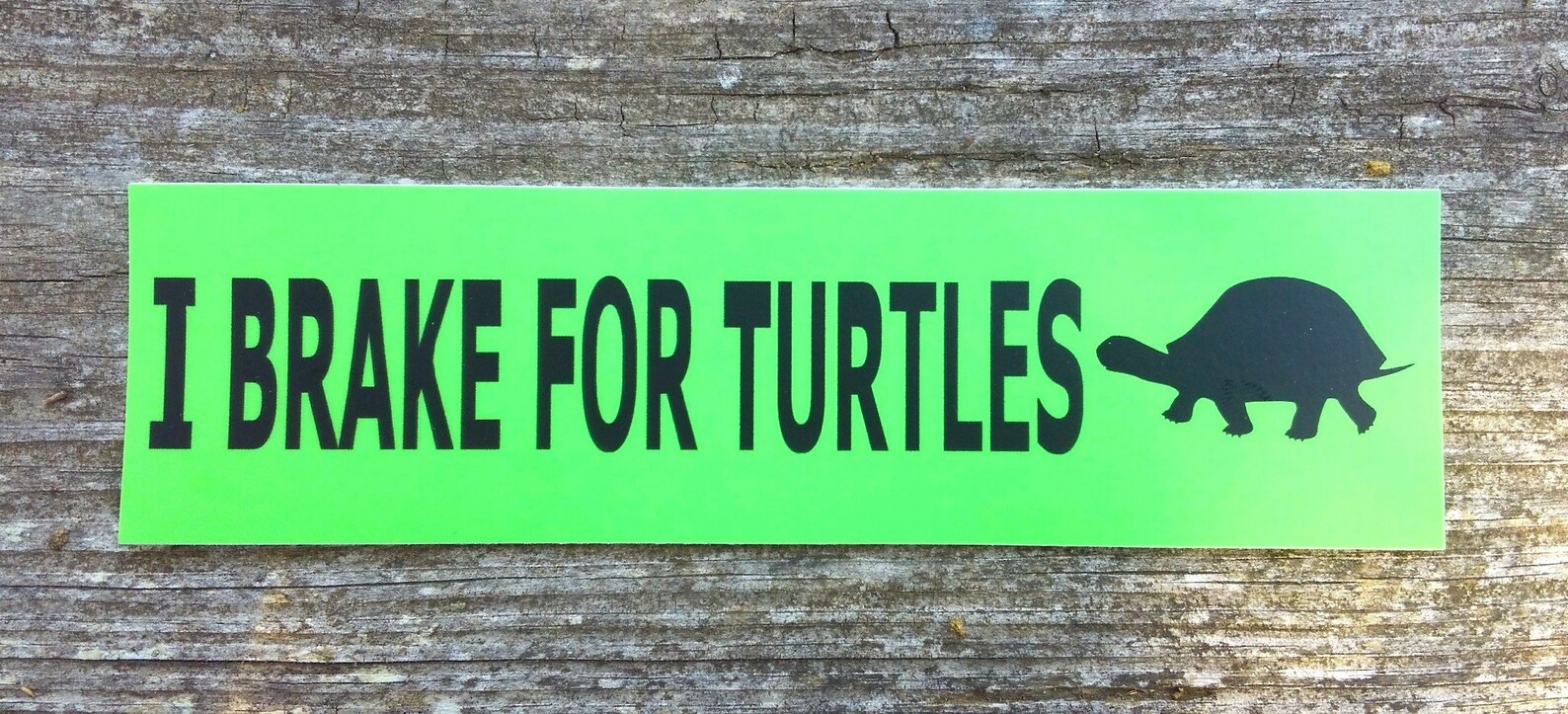 I BRAKE FOR TURTLES Bumper Sticker - Etsy