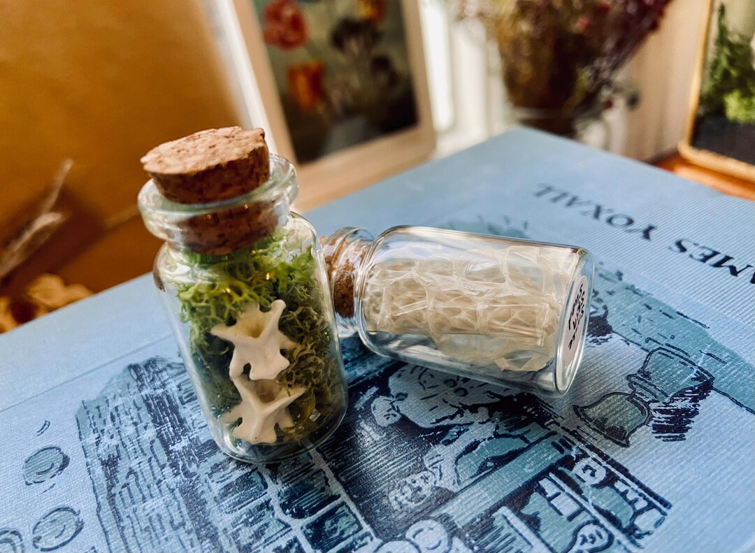 Two Specimen Jars for Your Collection, Snake Skin Shedding and Snake ...