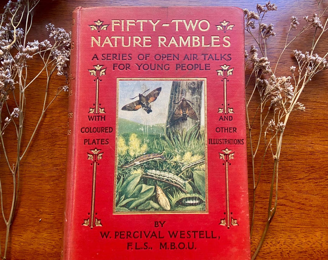 A Beautiful Natural History Book With Lovely Illustrations of the ...