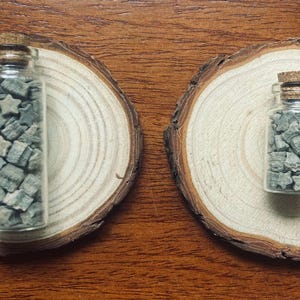 Fossil Crinoid Stars in a Glass Jar – Ancient Marine Invertebrate ...