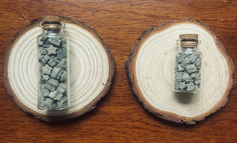 Fossil Crinoid Stars in a Glass Jar – Ancient Marine Invertebrate ...