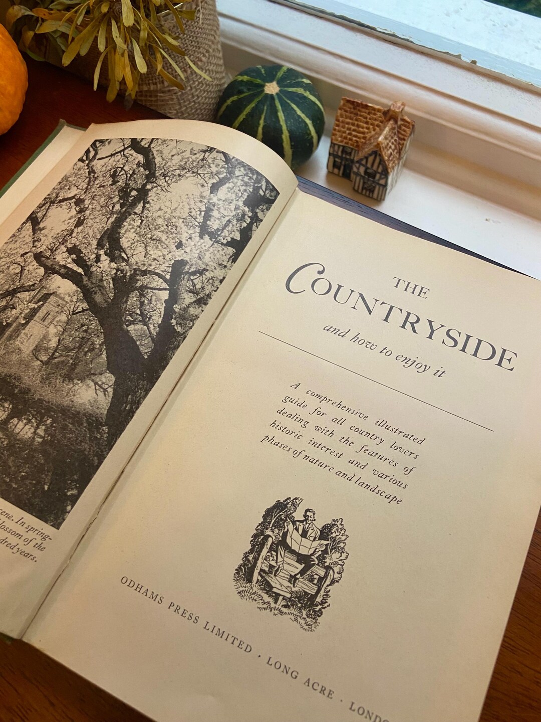 The Countryside and How to Enjoy It, Vintage Old Book on Nature, Plants ...