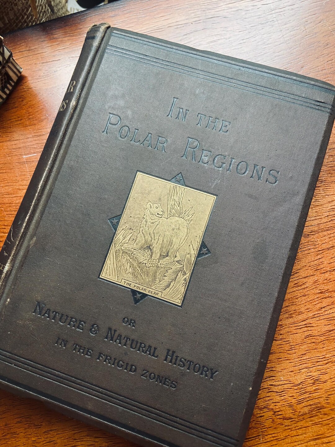 In the Polar Regions (1882) - A Natural History of Frigid Places - A ...