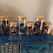 Seeds and Pods in Glass Vials for Your Nature Collection, Botanical ...