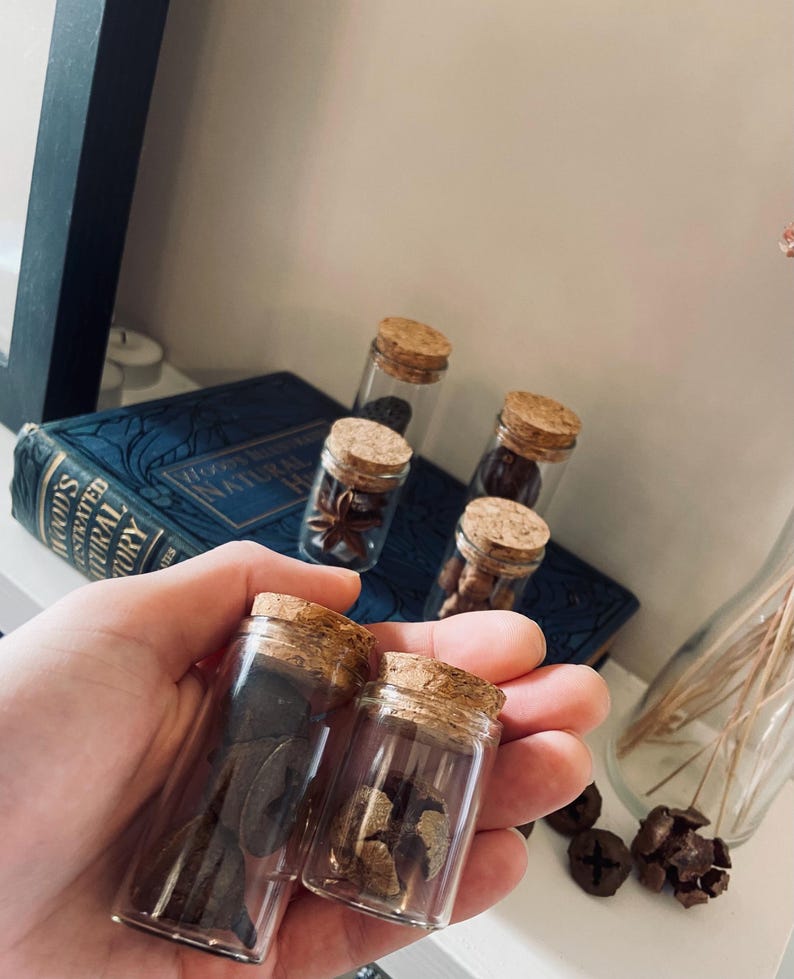 Seeds and Pods in Glass Vials for Your Nature Collection, Botanical ...