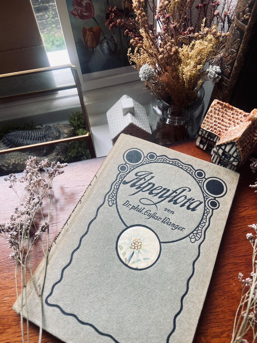 Vintage German Botany Book – Alpenflora, Colourful Illustrations - Etsy